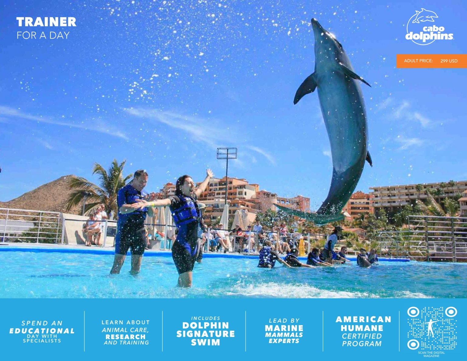 Dolphin Trainer For a Day! - CaboCondoVacations.com